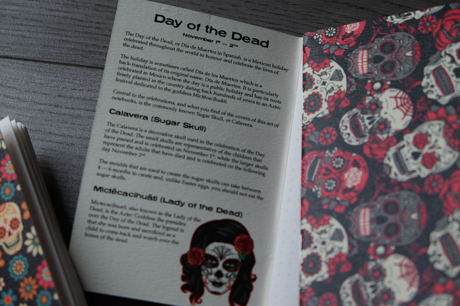 Day of the Dead Pocket Notebooks- Colour Edition | Back Pocket Notebooks