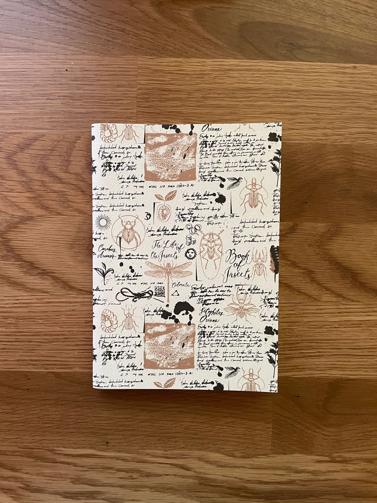 Notebook of Insects | Back Pocket Notebooks